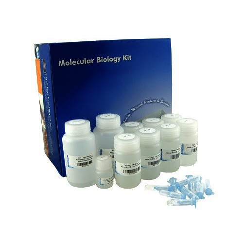 Dna Gel Extraction Kit